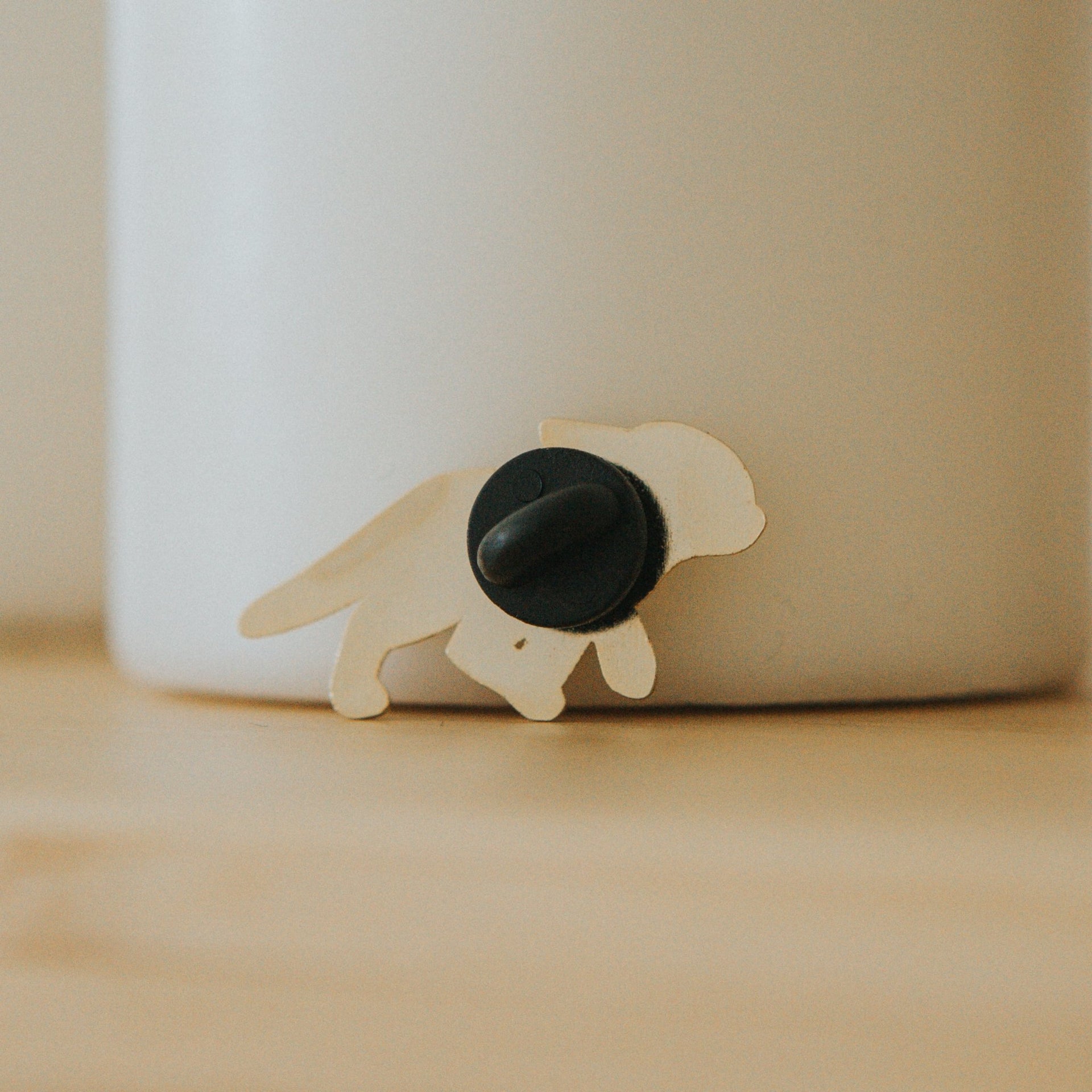 Fennec Fox Pin – Case Study