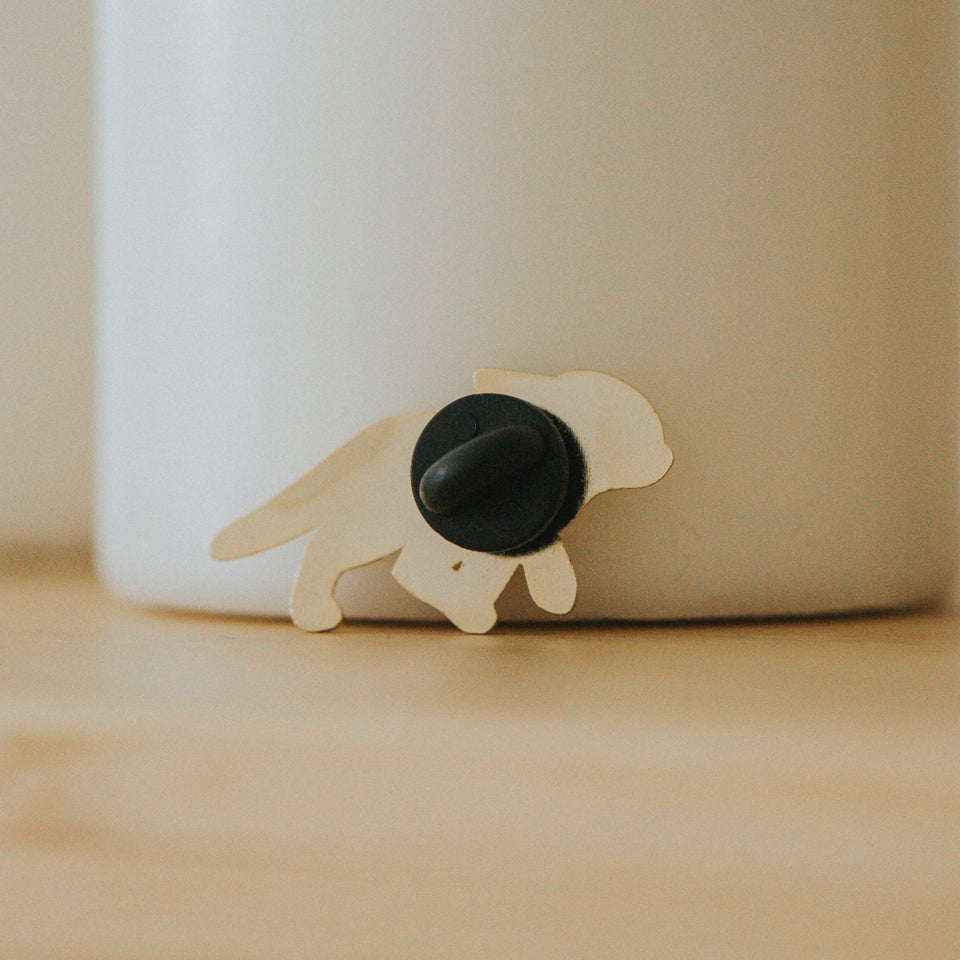 Fennec Fox Pin – Case Study