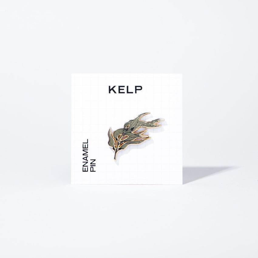Kelp Pin – Case Study